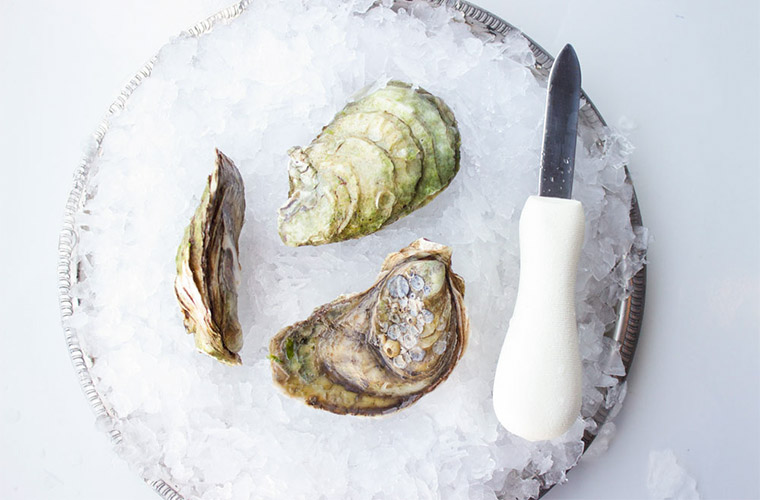 Malpeque Oyster — Oysterology Online | Pangea Shellfish Company